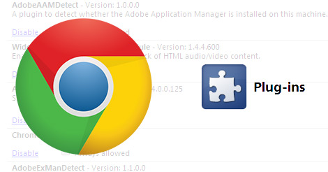 Tech Tip: View and control plugins in Google Chrome - SeizerStyle ...